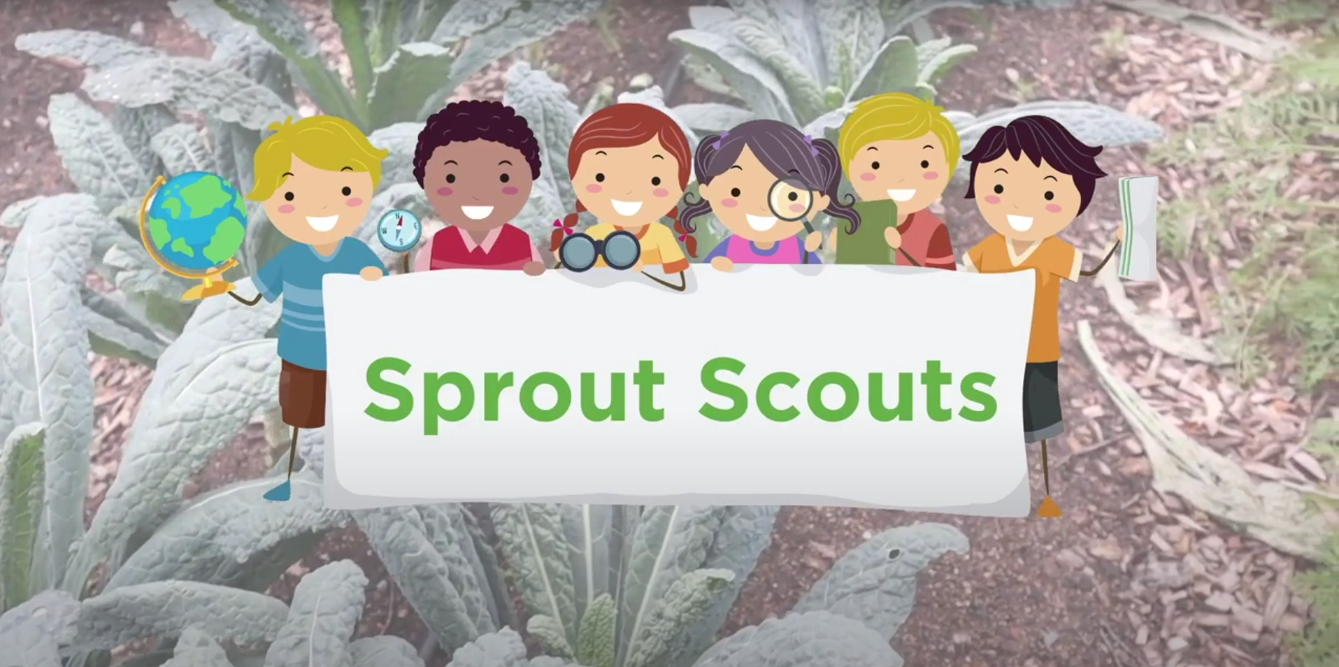 Sprout Scouts